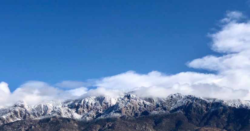 Home [www.specifica.bio]