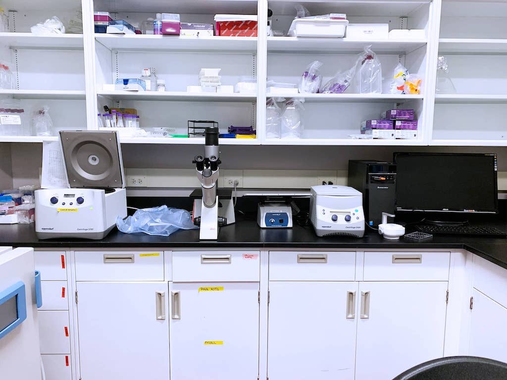 Antibody Discovery